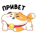 Кот Амур - @stickers_vk - Sticker pack for Telegram