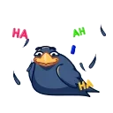 Crow - Sticker pack for Telegram