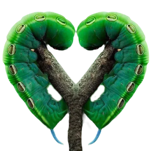 Caterpillar - Sticker pack for WhatsApp