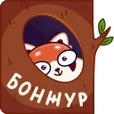 Panda Koko (@TgSticker) - Sticker pack for Telegram
