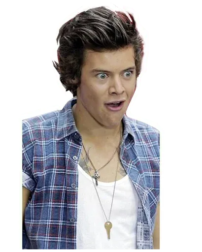 Harry styles curley master - Sticker pack for WhatsApp