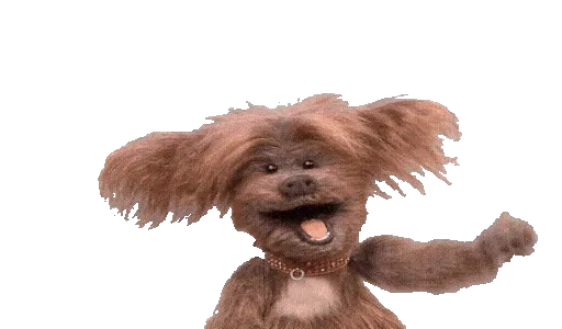 Hacker T dog & Dodge @Mycute_stickers - Sticker pack for Telegram