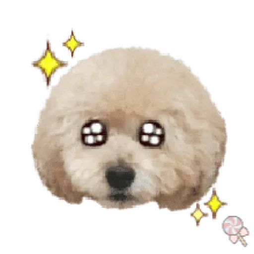 Dog expressions @Mycute_stickers - Sticker pack for Telegram