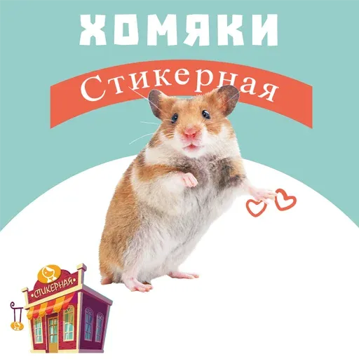 Хомяки @stickernayaa - Sticker pack for WhatsApp