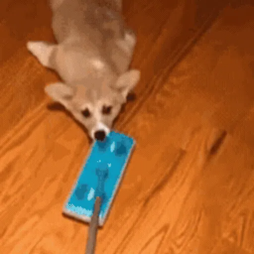 Mop - Compilations of Whatsapp Stickers