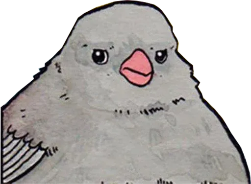 MemeBirds - Sticker pack for WhatsApp