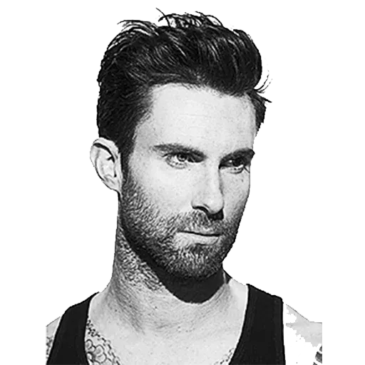Adam Levine Pack - Sticker pack for WhatsApp