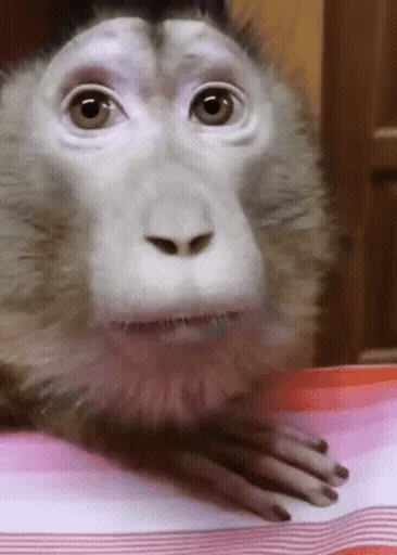 Стикеры @stickrubot @textmeru_bot - Sticker pack for WhatsApp