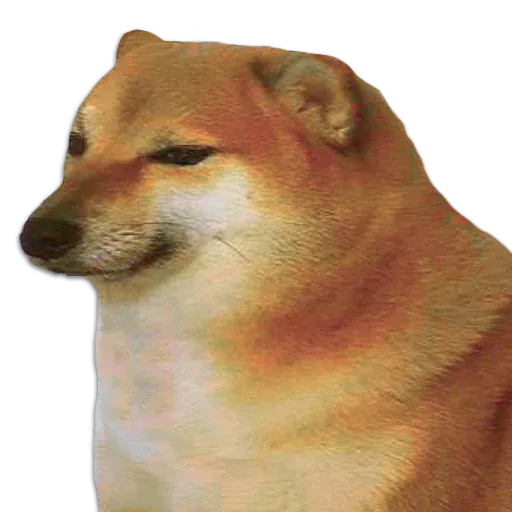 Perrito Sugoi - Sticker pack for WhatsApp