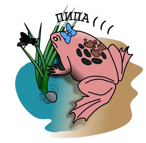 Узкорот и Пипа - Sticker pack for WhatsApp
