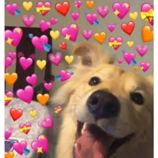 doggo hearts - Sticker pack for WhatsApp