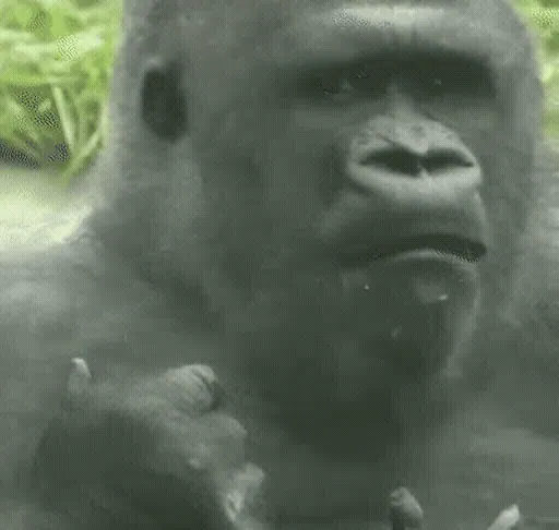 Uh oh 2 @psvlu - Sticker pack for WhatsApp